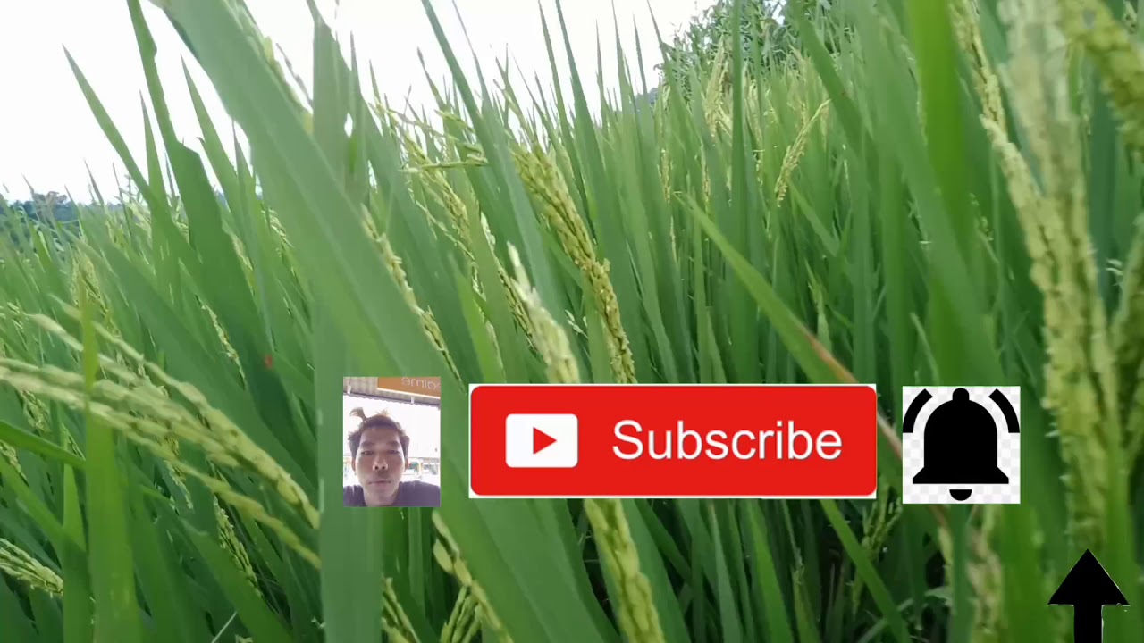 Touring Cikundul Cianjur Cikalong Kulon Youtube