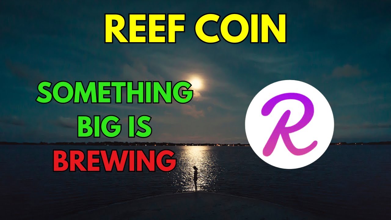 REEF COIN Price News Today, Technical Analysis & Price Prediction 2024/ ...