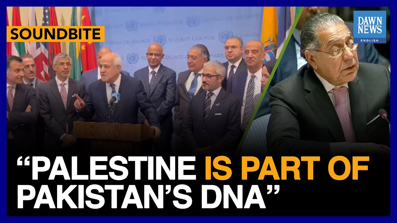 Palestine ‘Part Of Pakistan’s DNA’, says Pakistan Envoy | Dawn News ...