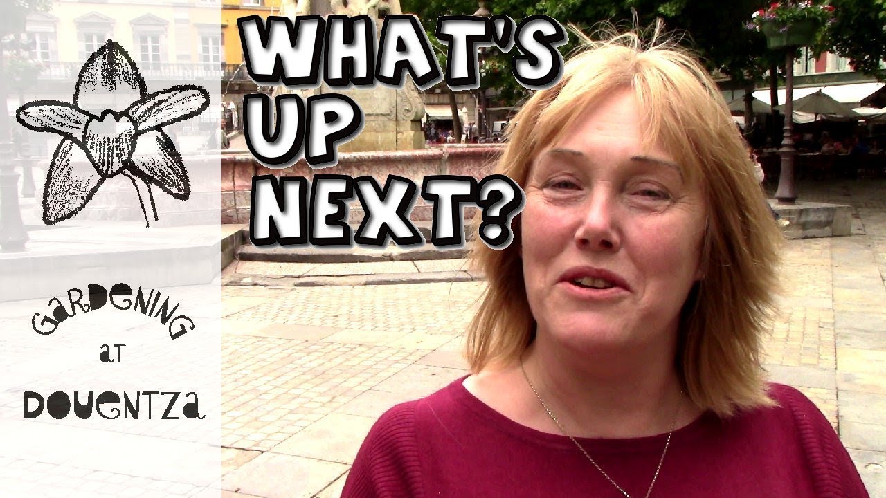 What's Up Next? - YouTube