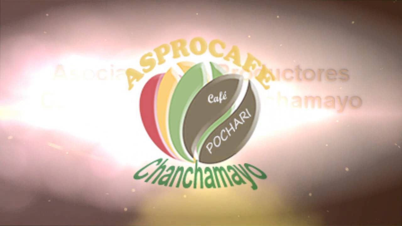 Cafe Pochari Coffee - YouTube