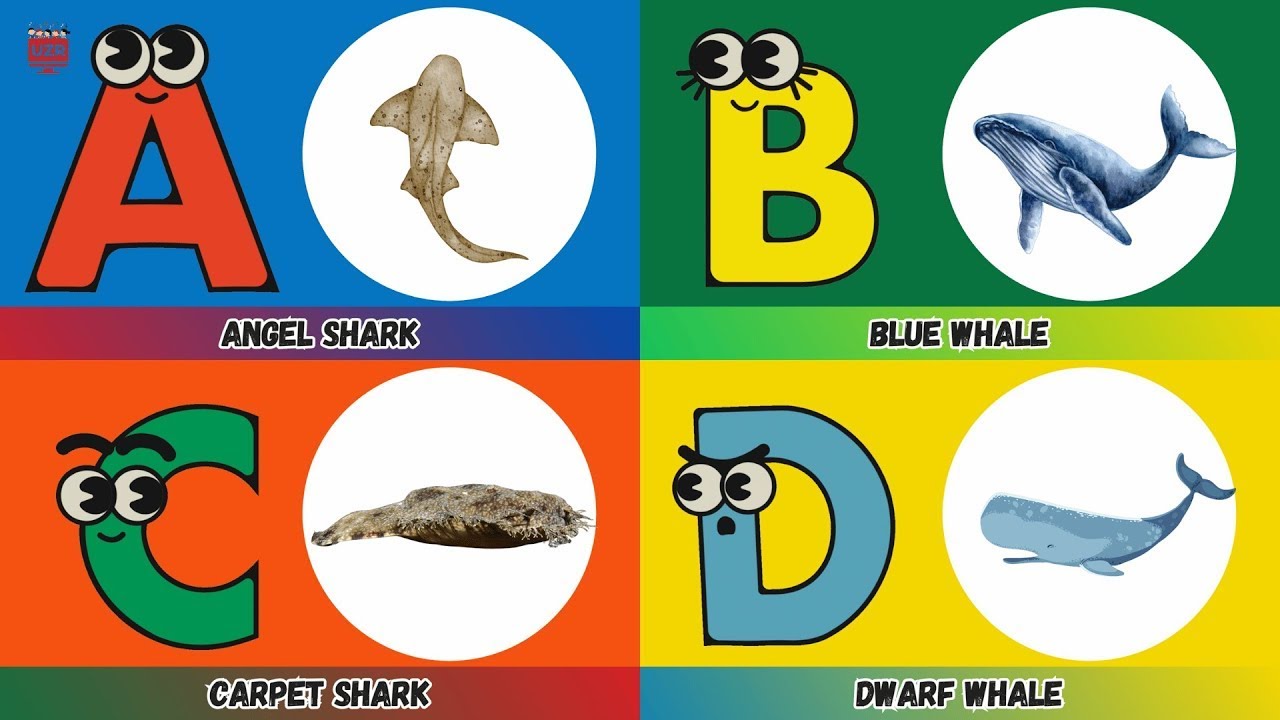 A to Z Shark & Sea Creatures Phonics Song 🌊 Learn Ocean ABCs | UZR Kids ...