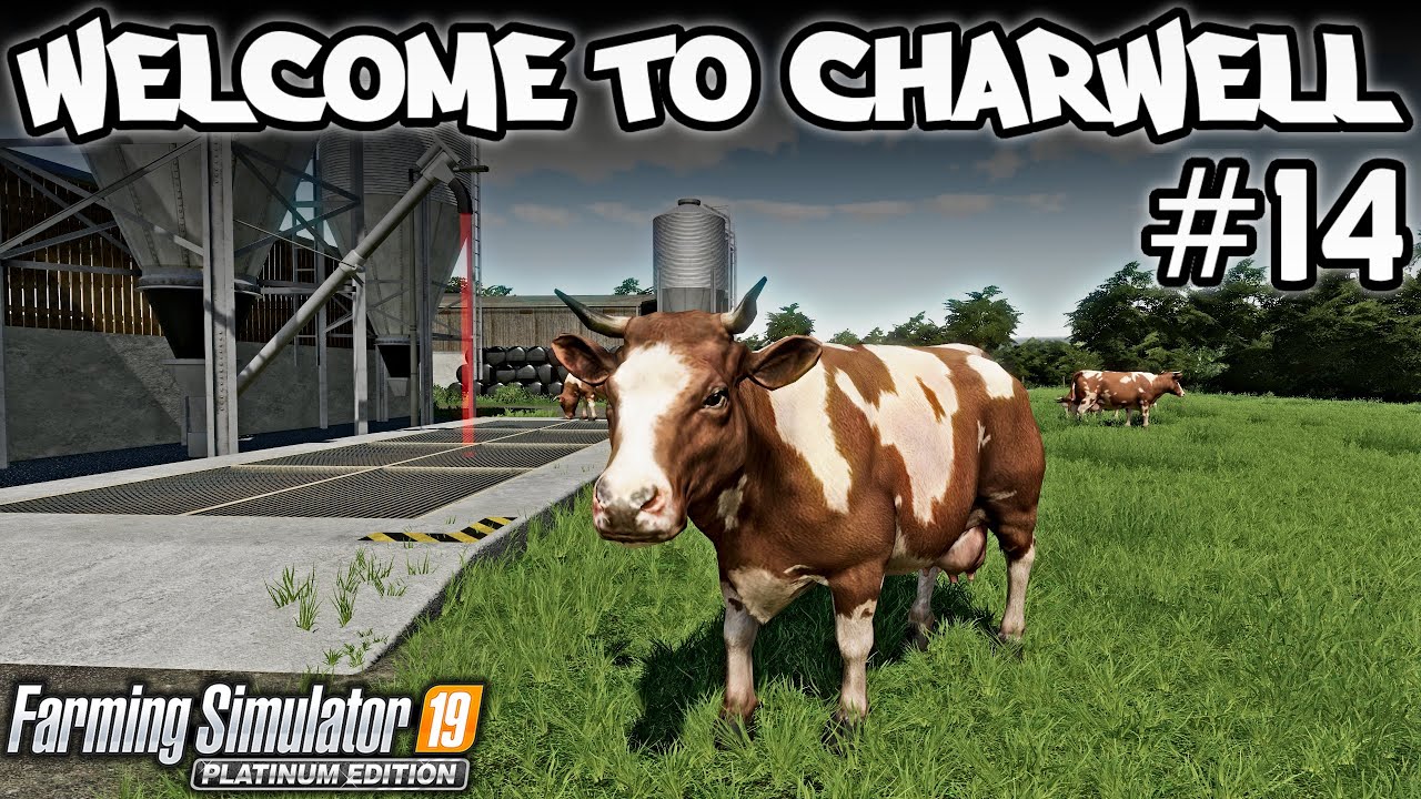 BUYING AND FEEDING COWS ON CHARWELL! | FARMING SIMULATOR 19 - YouTube