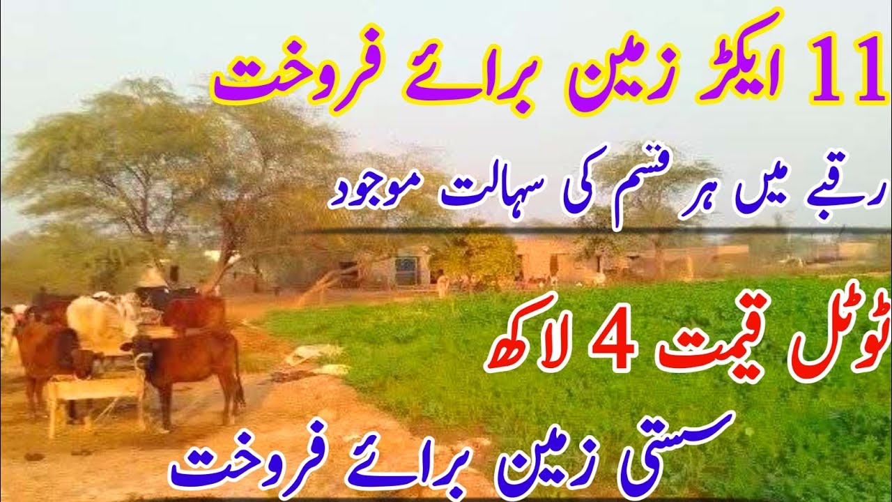 Agriculture land for sale in Pakistan | land for sale in Pakistan | # ...