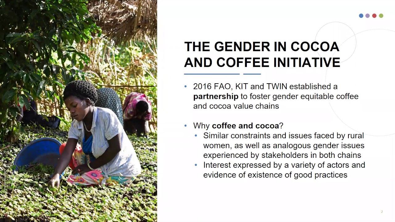 Gender and Climate Change in Coffee and Cocoa - YouTube