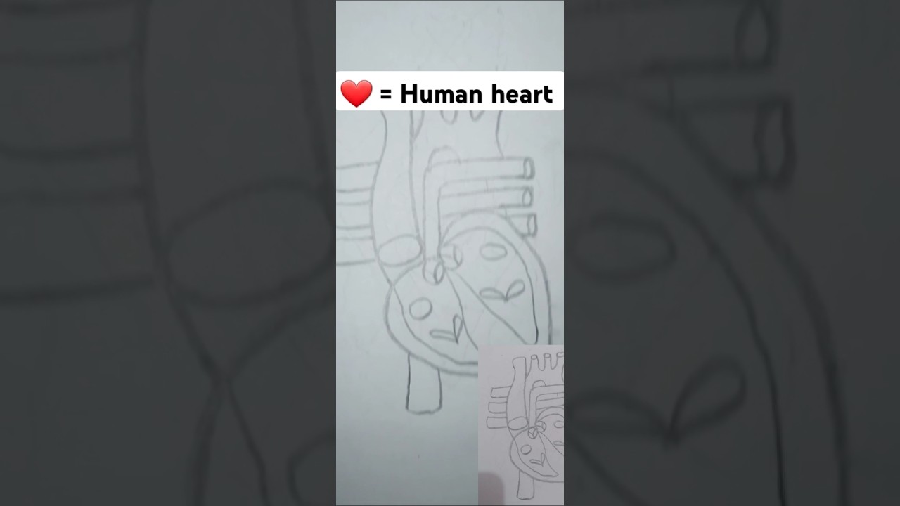 dil se human heart bnaye easy drawing #music #drawing #bolleywoodsong # ...