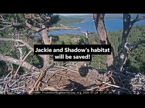 News from FOBBV_Moon Camp Goal has been met! Jackie, Shadow's Habitat Saved | 7.24.26
