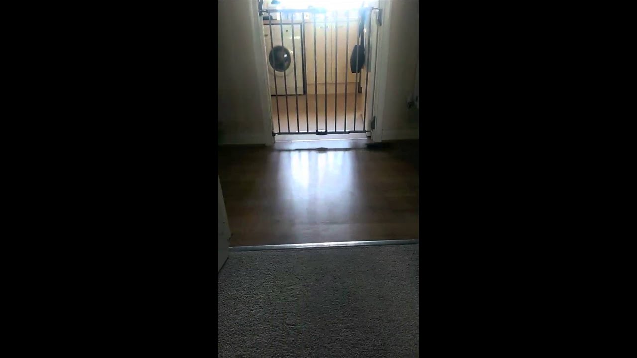 Funny baby sliding across floor - YouTube