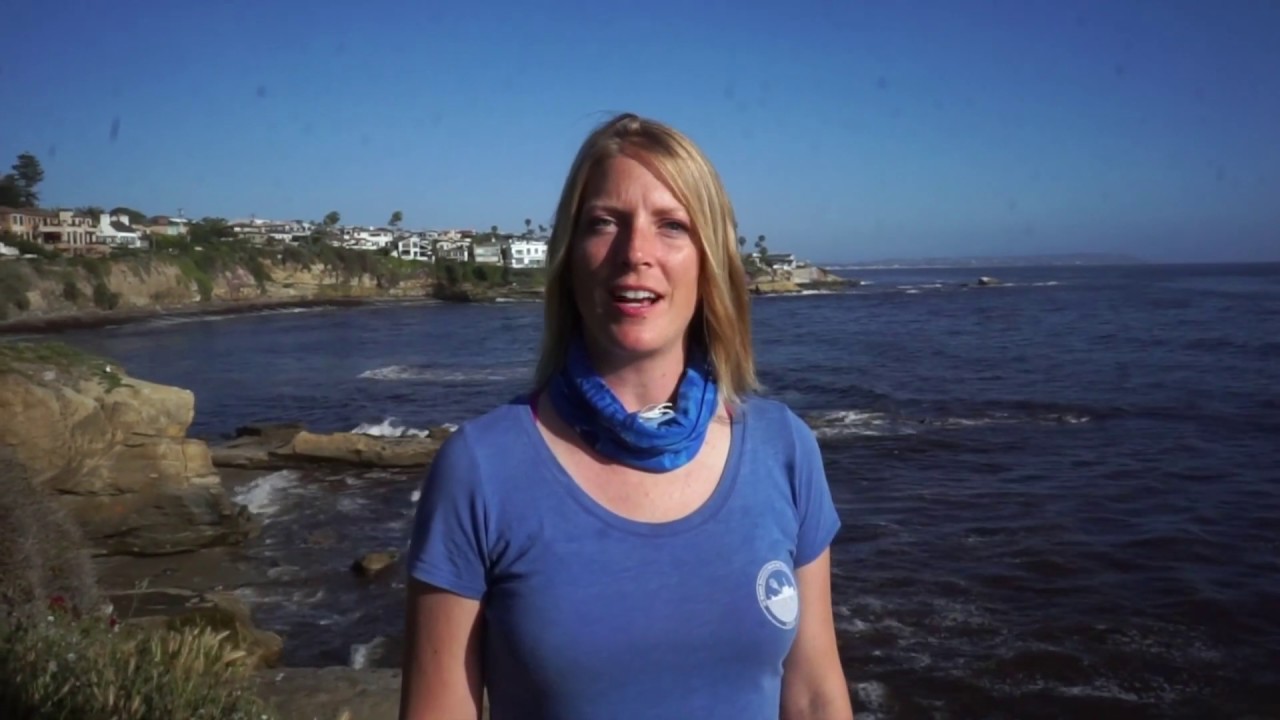 Red Tide and Bioluminescence with Allison Cusick - YouTube