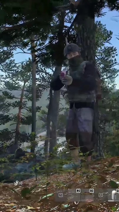 Exécution #dayz - YouTube