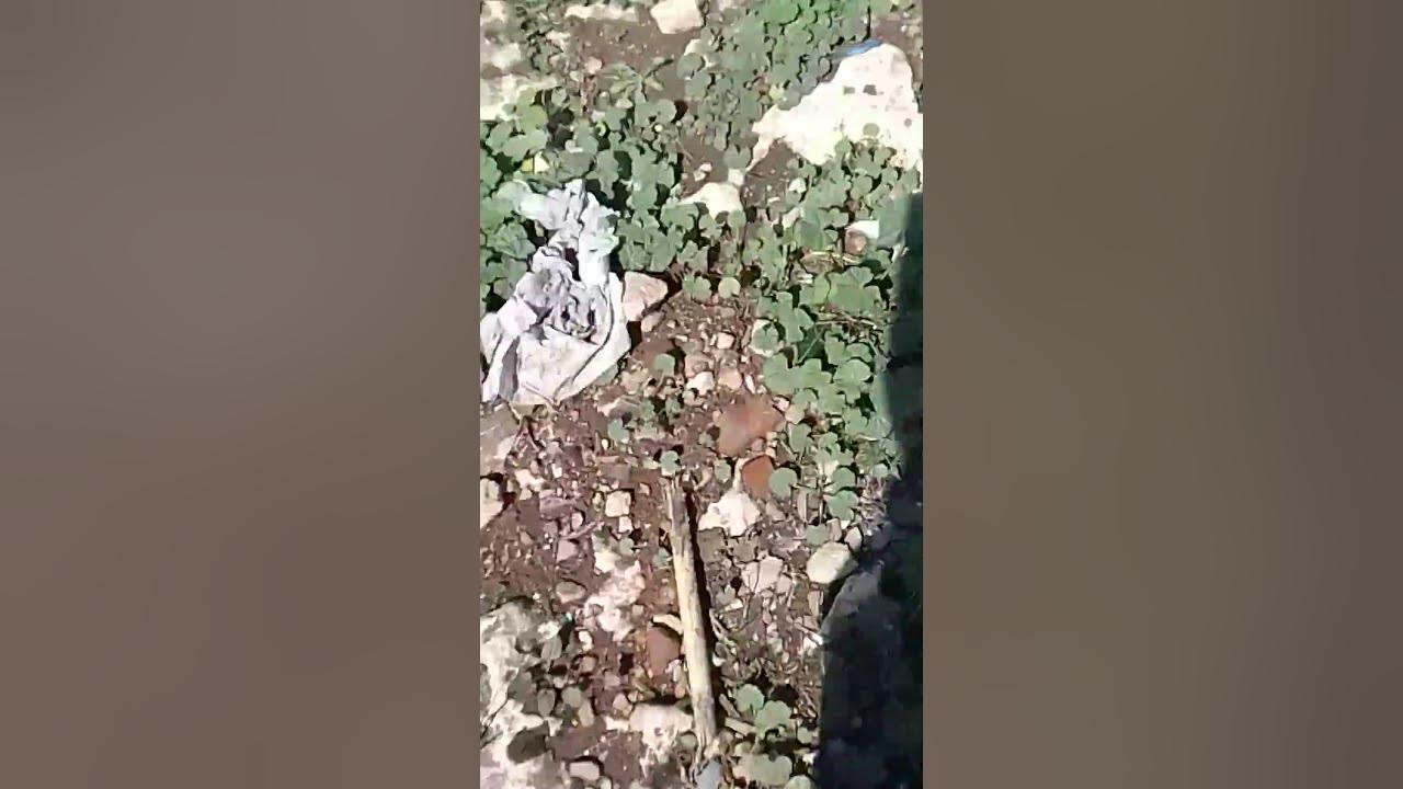 1 مارس 2025 - YouTube