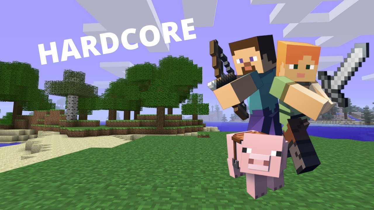 Minecraft Hardcore EP 1 | WILL I SURVIVE! - YouTube