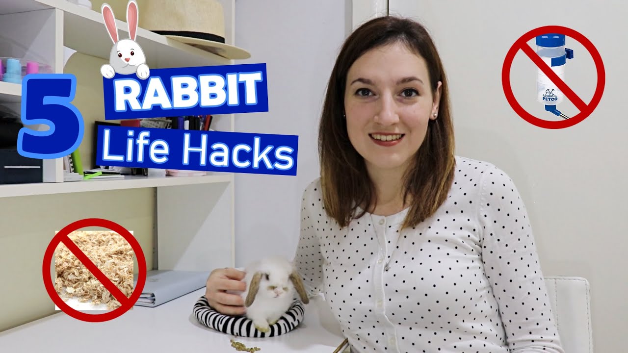 5 RABBIT LIFE HACKS - YouTube