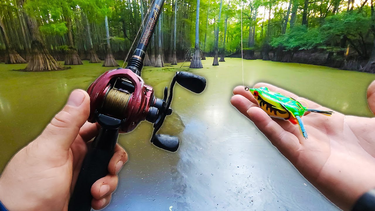 BIG CYPRESS BAYOU Swamps was loaded with fish! - YouTube