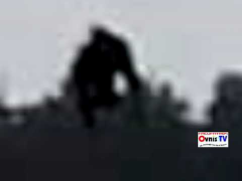Impresionante HUMANOIDE volador en Tingo Maria -Perù NOV 2017 - YouTube