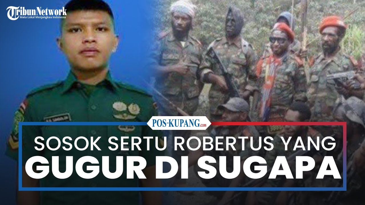 SOSOK Sertu Robertus Simbolon Prajurit TNI yang Gugur Ditembak KKB ...