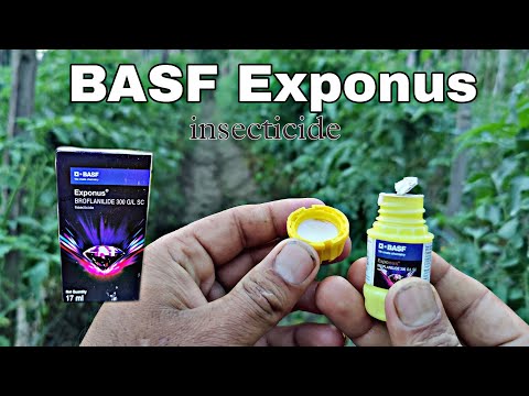 BASF exponus | broflanilide 300 G/L sc | contact brode spectrum ...