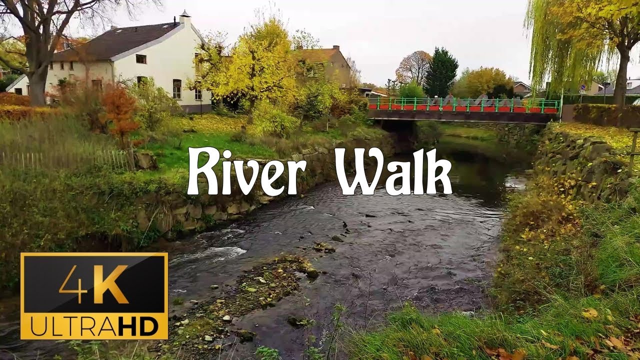 Forest river walk Valkenburg in beautiful green ambient - YouTube