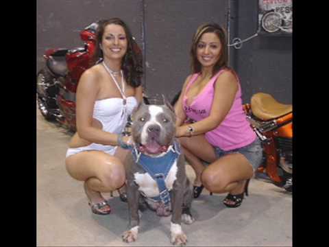 Rapimp Rhymeboss-Patron Benim