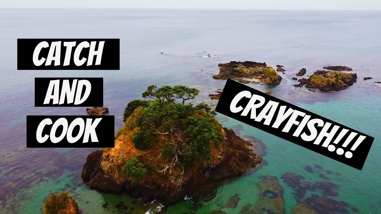 Crayfish Catch and Cook, Northland, New Zealand, Shore Dive ...