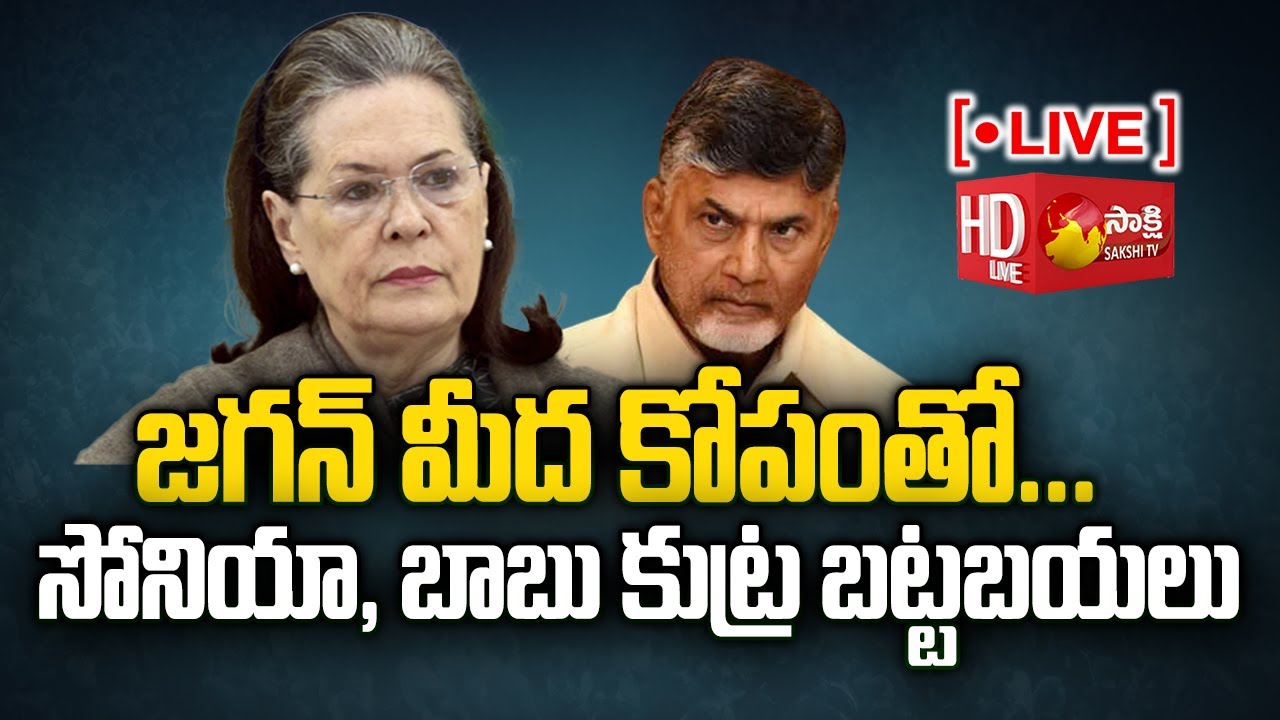 LIVE: Illegal Cases on VANPIC Project | Sonia Gandhi | Chandrababu ...