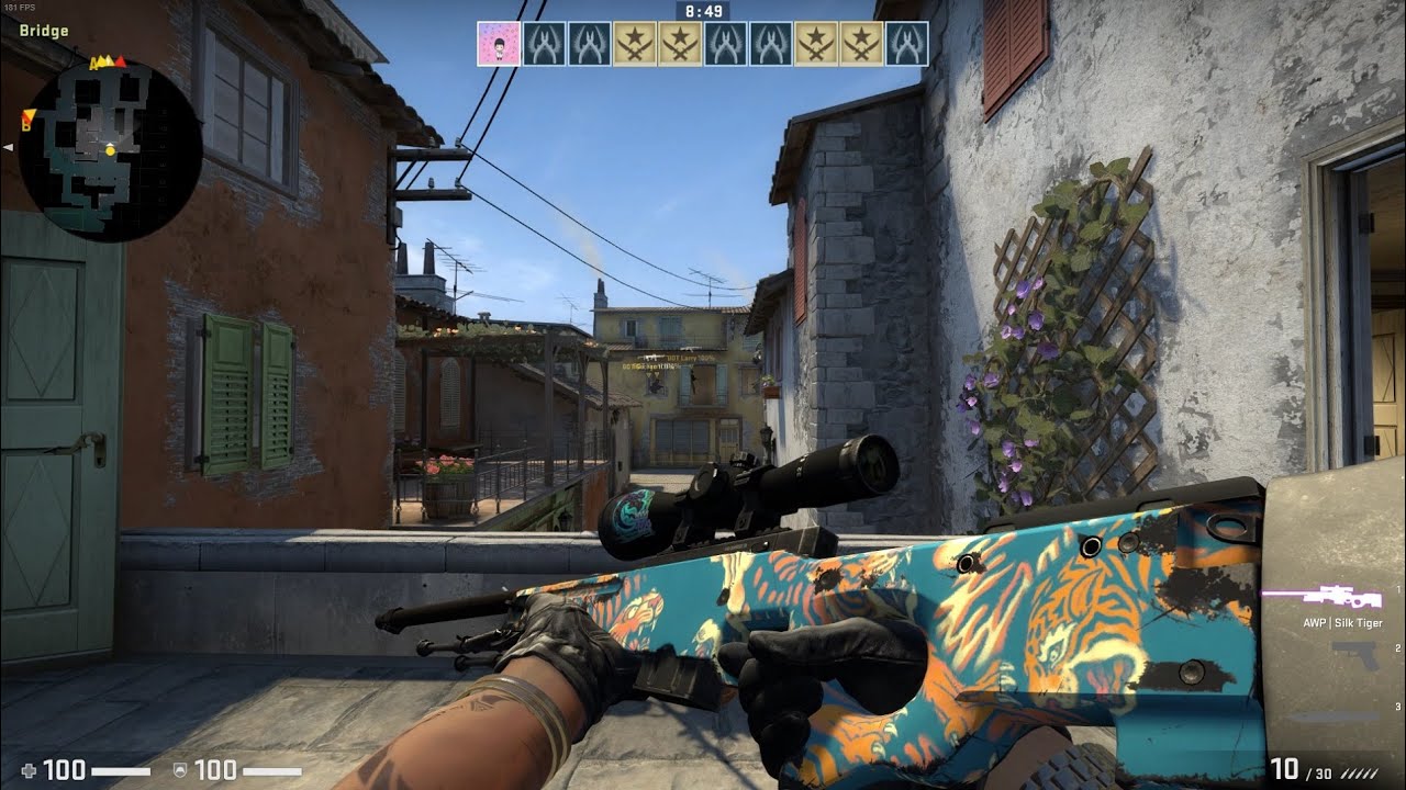 AWP | Silk Tiger (Field Tested-0.21) Skin Showcase & Gameplay (Counter ...