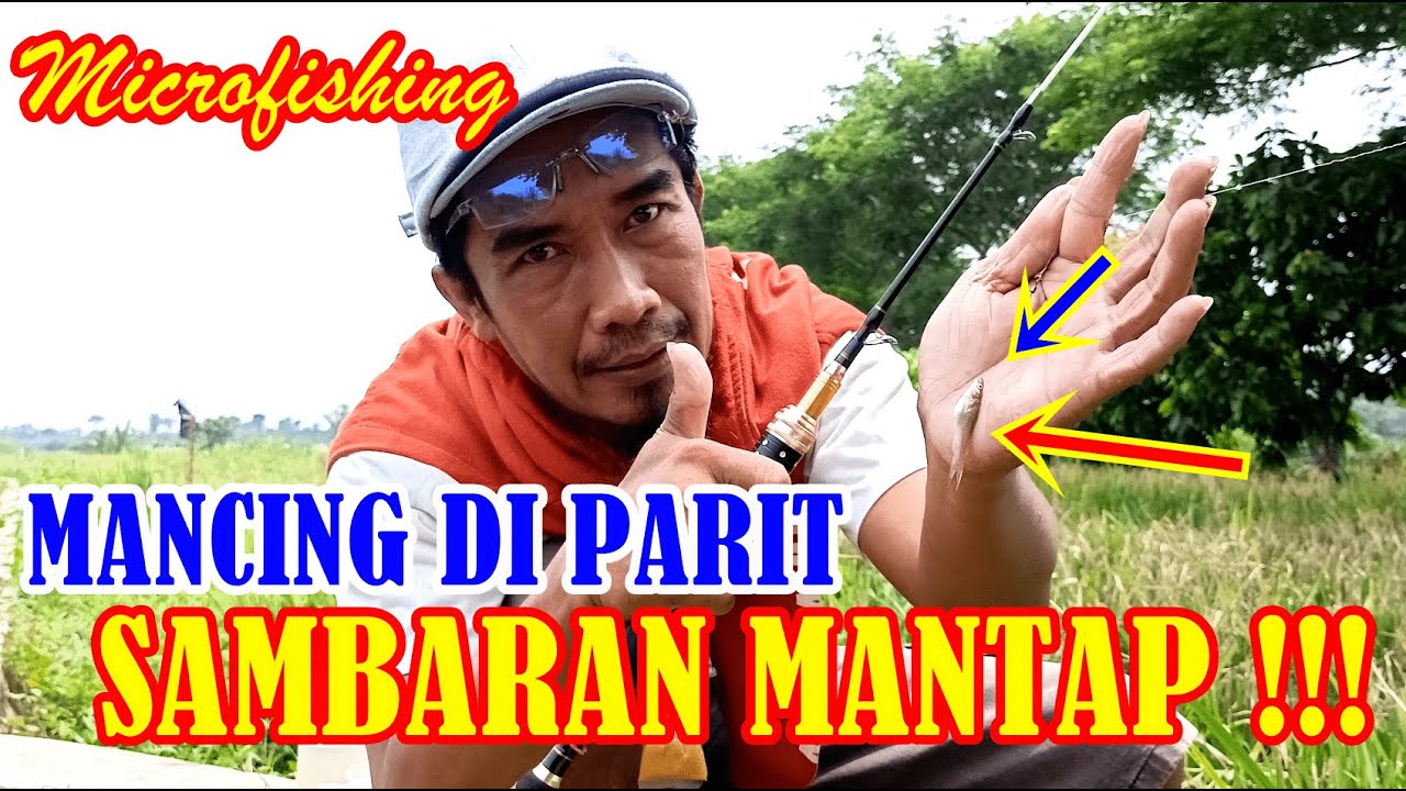 MANCING DI PARIT, SAMBARAN MANTAP !!! - YouTube