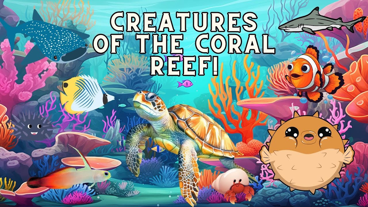 Coral Reef Adventure! Meet the Animals of the Coral reef! Fun Learning ...