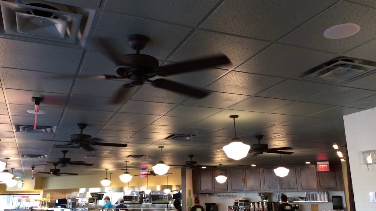 Hampton Bay Farmington Ceiling Fans - YouTube