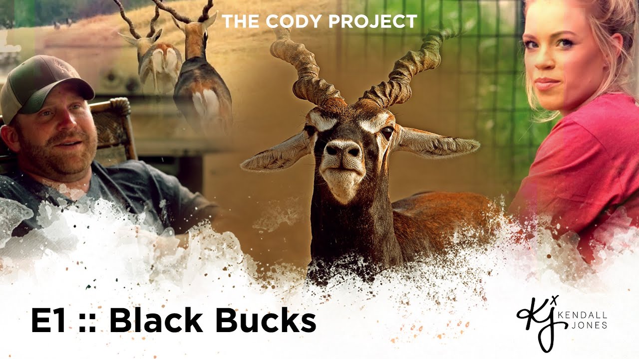 The "Cody Project" [Episode 1: Black Bucks] - YouTube