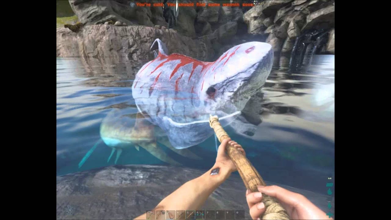 ARK: Survival Evolved - Weird Megalodons Glitch - YouTube