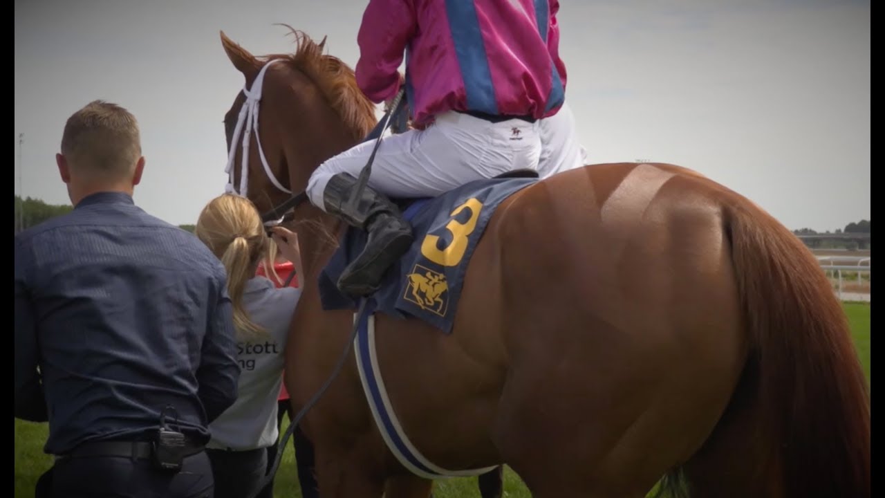 Marc Stott & Queen Rouge - YouTube