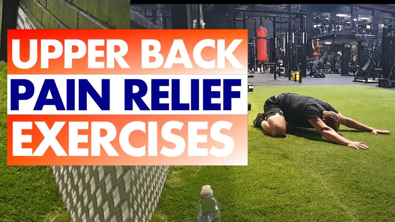 Thoracic Back Pain Exercises & Stretches [ Axe Physio ] - YouTube