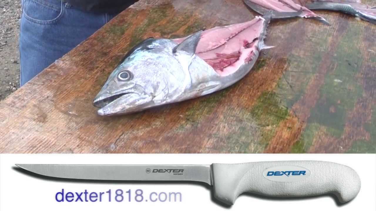 Bonito Fillet with Dexter Blade - GoFishDan - YouTube