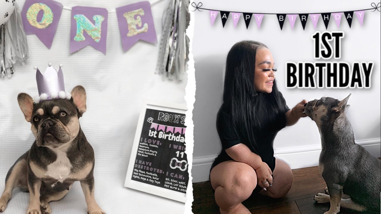 MY FRENCHIES FIRST BIRTHDAY😭 PUPPY TURNS ONE...PARTY, CAKE & PRESENTS ...