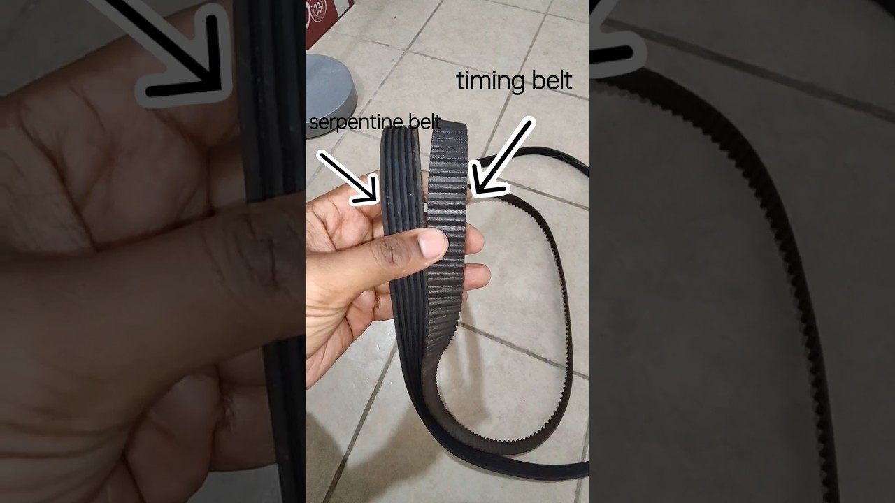 Timing belt vs serpentine belt | Difference between timing and ...