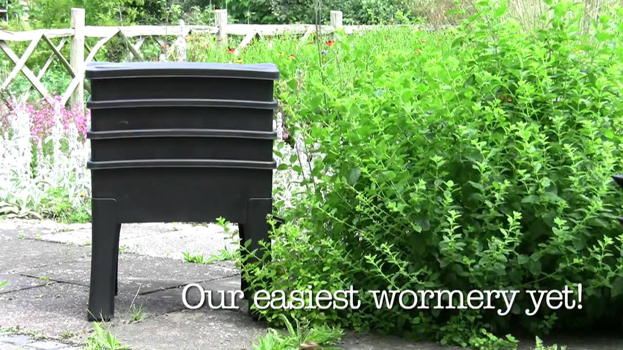 Worm Café... what you need to know! - YouTube