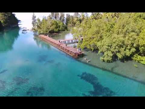 Aromarea.. Serui Kepulauan Yapen - YouTube