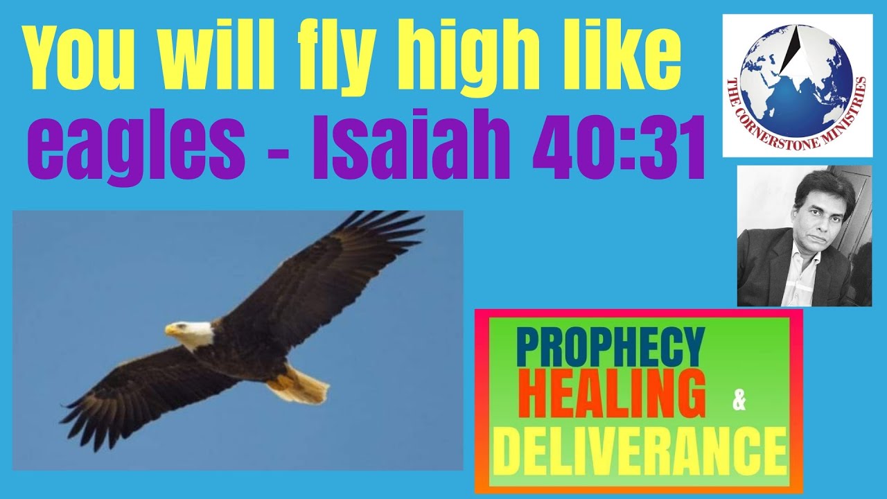 DAILY PROPHECIES/YOU WILL FLY HIGH LIKE EAGLES/ISAIAH 40:31 - YouTube