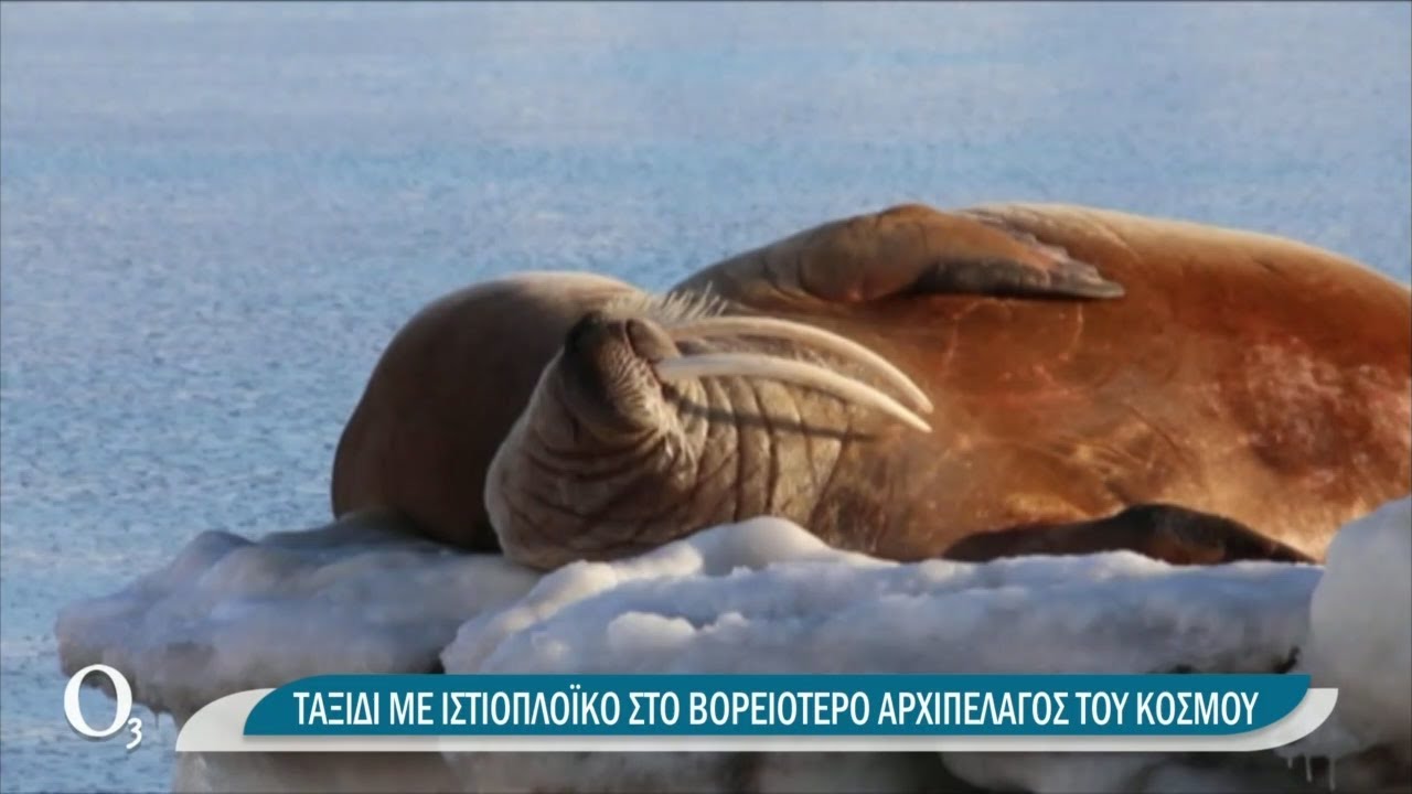 Έλληνας ιστιοπλόος ανοίγει πανιά για την Αρκτική | 08/06/2021 | ΕΡΤ ...
