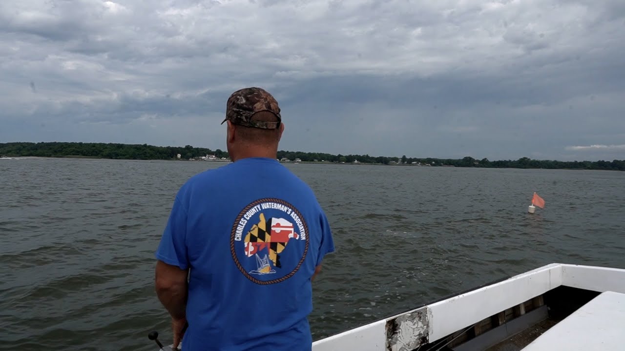 Your Charles County: Local Watermen - YouTube