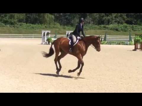 Bree & Oliver - YouTube