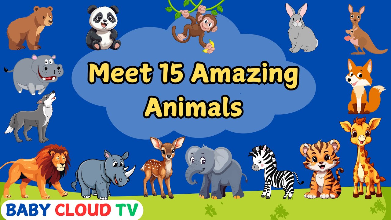 Animal Adventure! 15 Amazing Animals and Their Sounds for Kids - YouTube