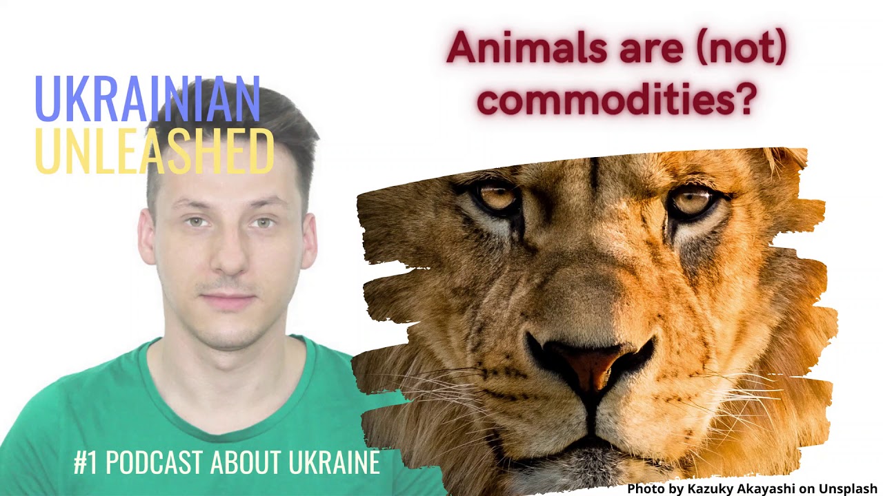 Animals are (not) commodities? - YouTube
