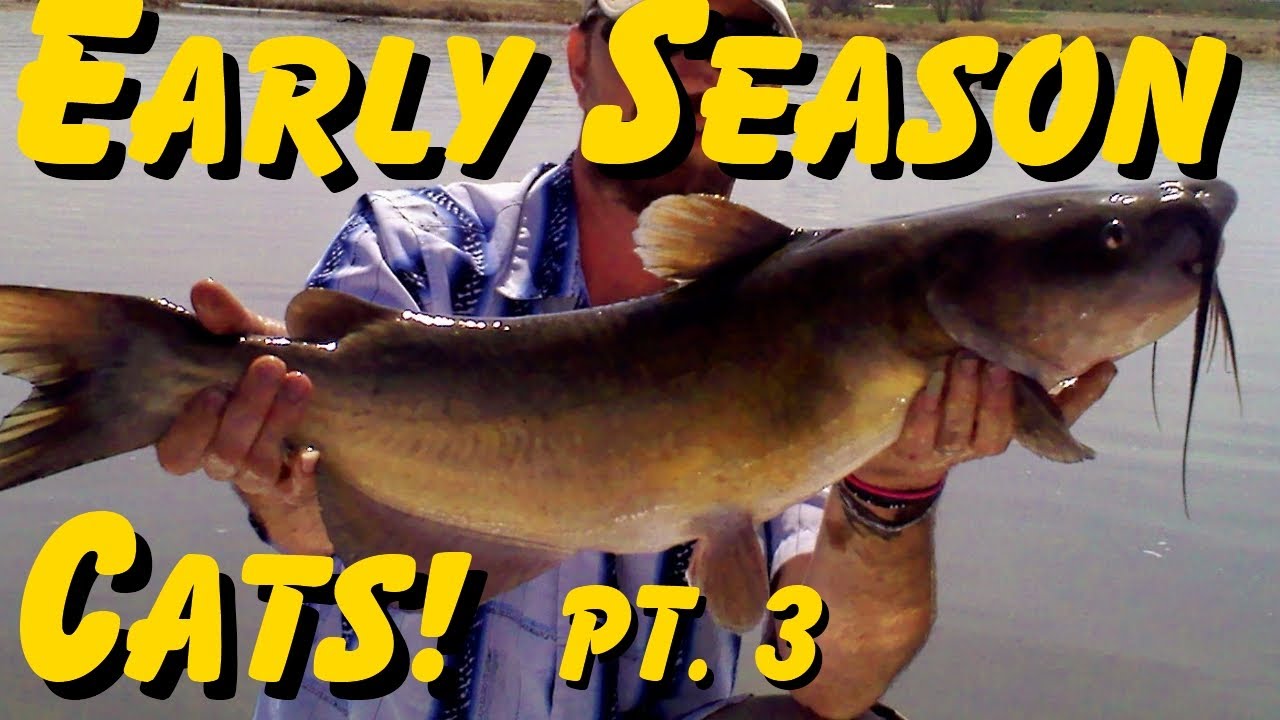How To Locate And Catch Early Season Catfish - Part 3 - YouTube