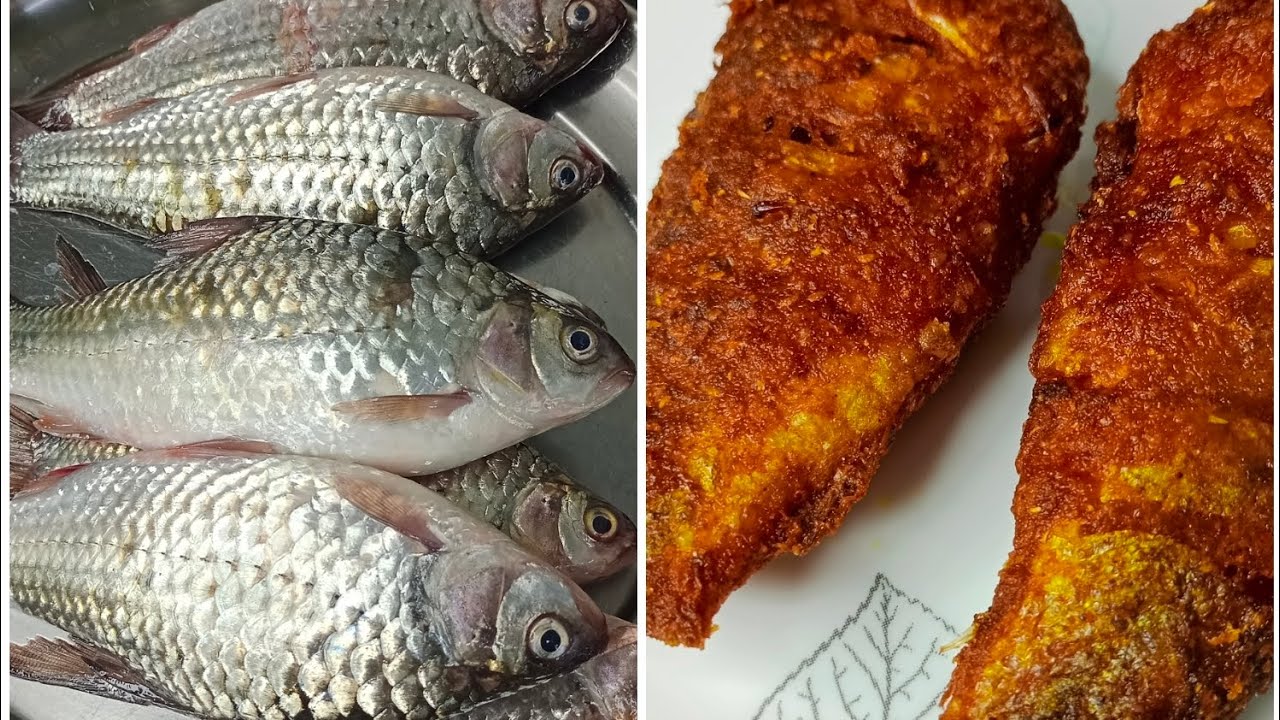 नदीच्या पाण्यातले मासे #fish #fishfry #fishing #recipe #nonvegrecipe # ...