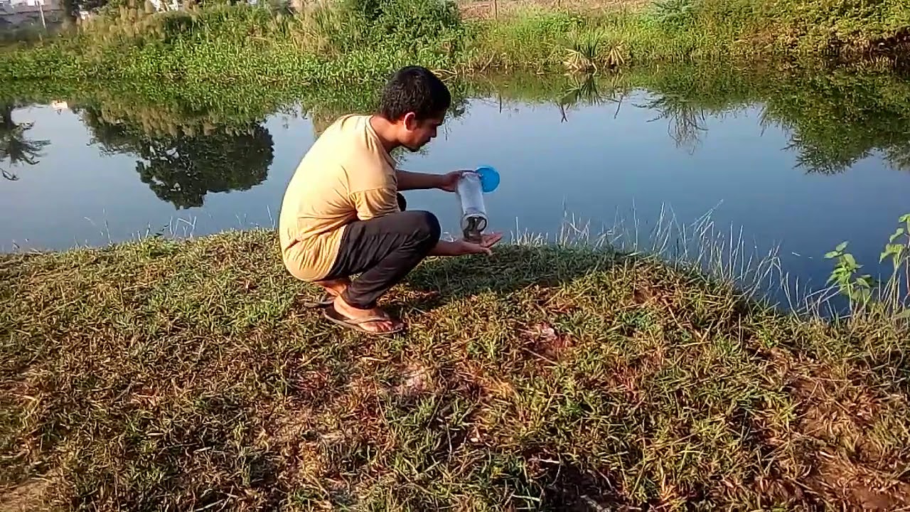 checkered keelback snake - YouTube