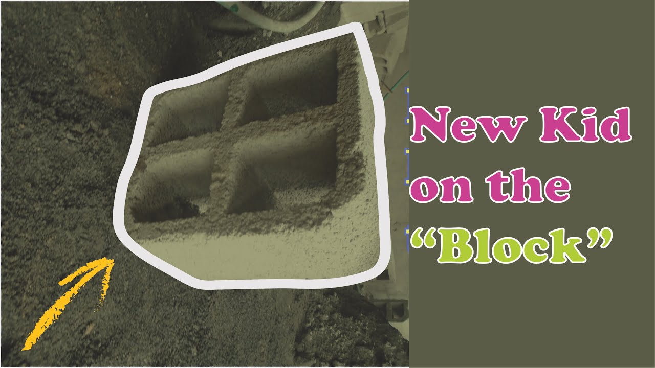 Hollow 'pot' Block Floors: Why they may Offer a Better Alternative to ...