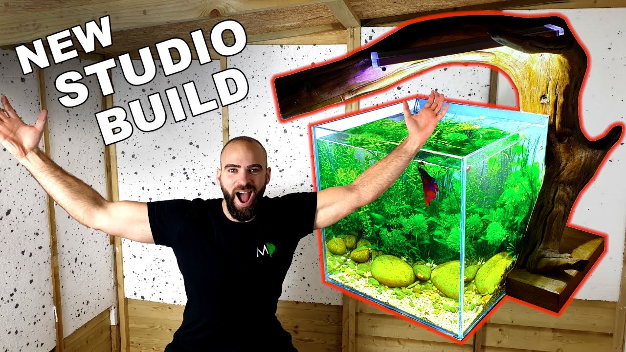 NEW STUDIO BUILD: INTERIOR + Aquarium Updates || MD FISH TANKS - YouTube