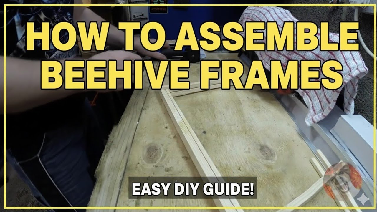 Beekeeping. How To Assemble Beehive Frames with wired Foundation. - YouTube